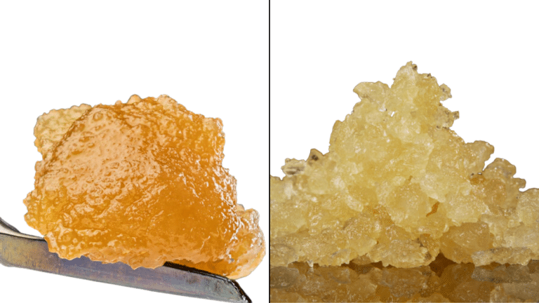 Cured Resin vs. Live Resin: What’s the Real Difference? - Fun With Dizzies