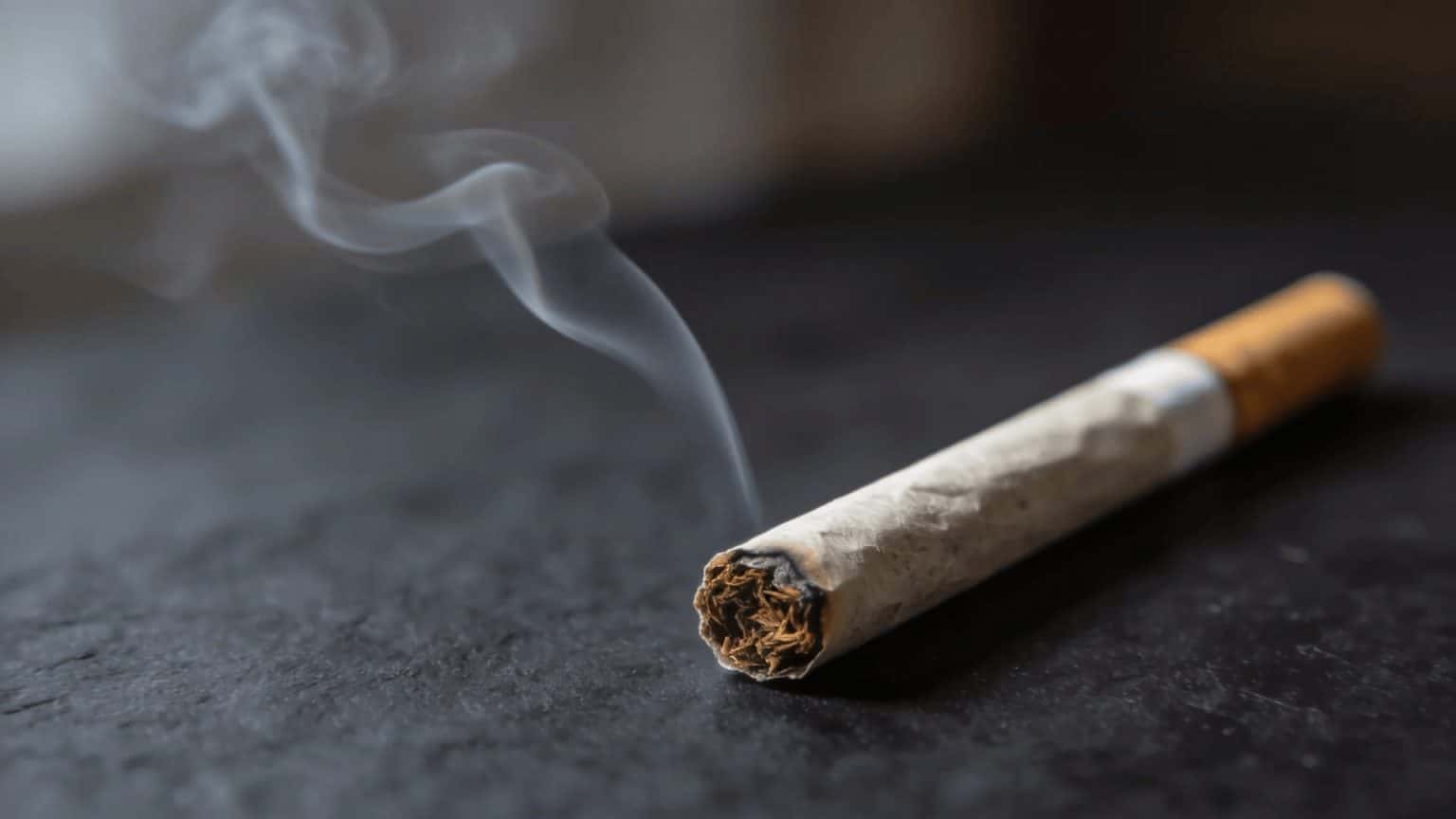 What is a Spliff & How It Differs from a Joint and a Blunt? - Fun With ...